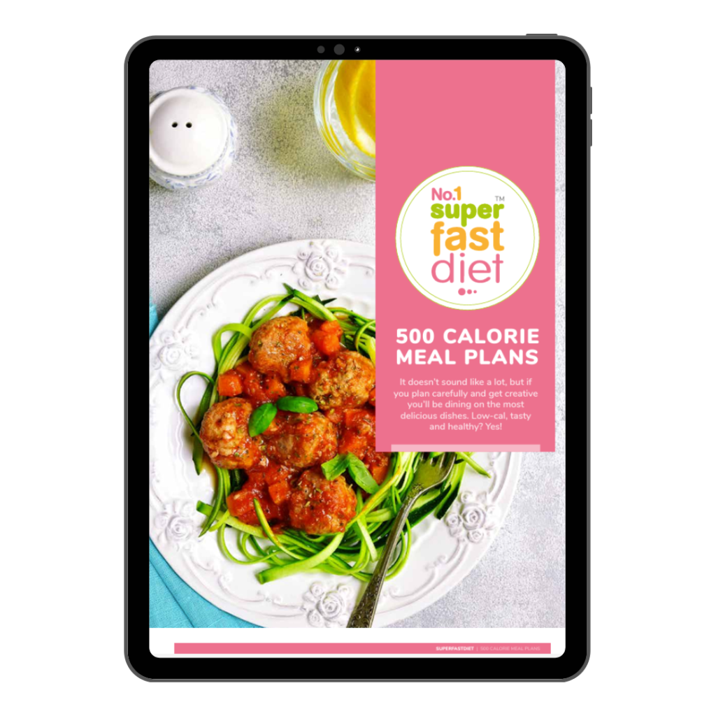 Free 500 Calorie Meal Plan for Weight Loss - Intermittent Fasting